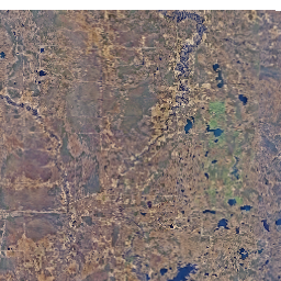 ArcGIS Web Application